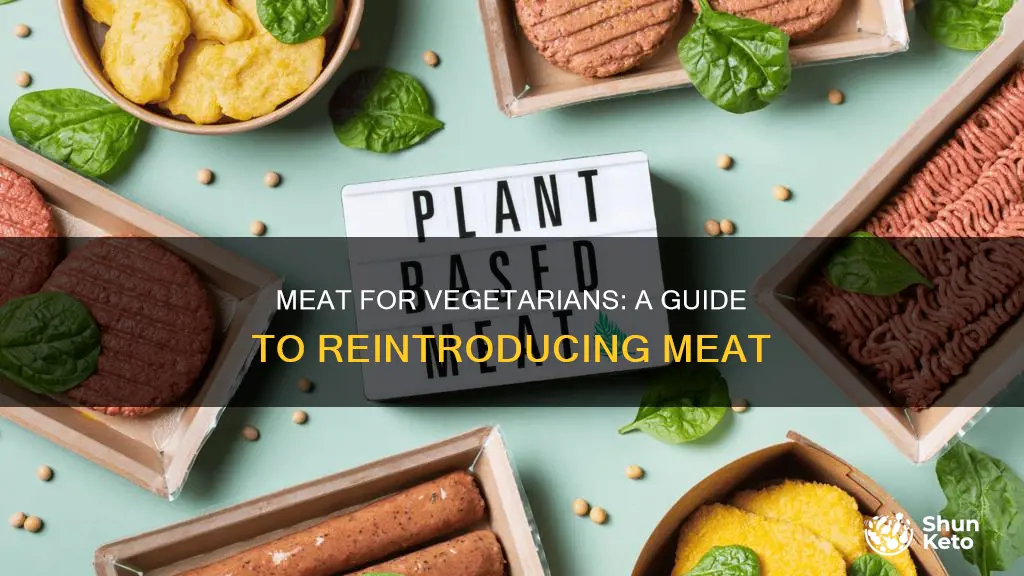 Meat For Vegetarians: A Guide To Reintroducing Meat | ShunKeto
