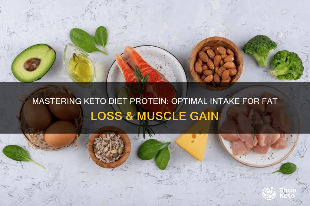 Mastering Keto Diet Protein: Optimal Intake For Fat Loss & Muscle Gain ...