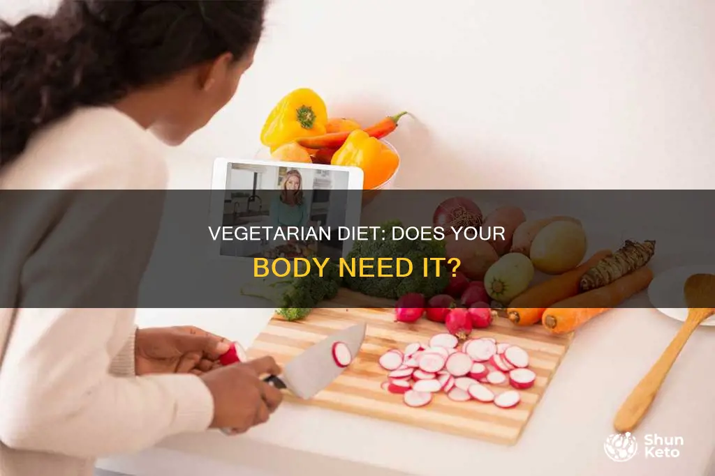 Vegetarian Diet: Does Your Body Need It? | ShunKeto