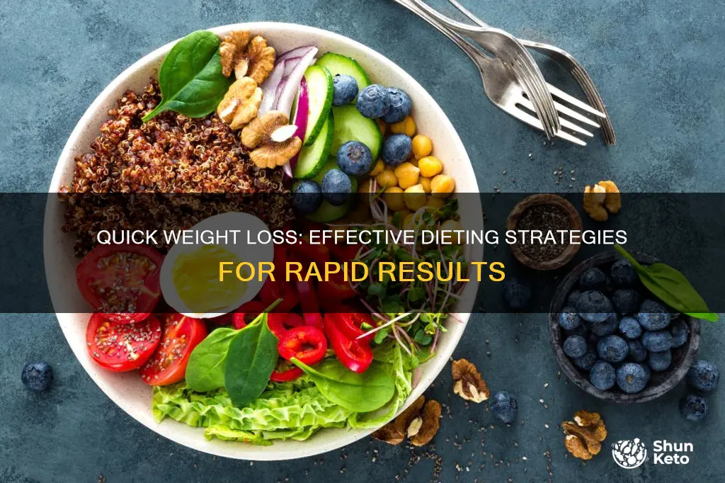 Quick Weight Loss: Effective Dieting Strategies For Rapid Results ...