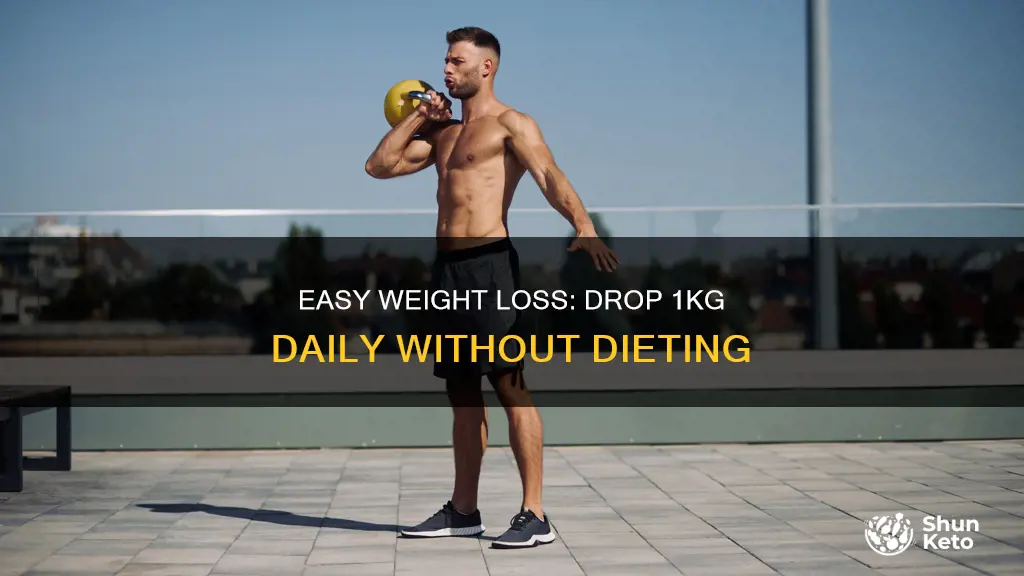 Easy Weight Loss: Drop 1Kg Daily Without Dieting | ShunKeto
