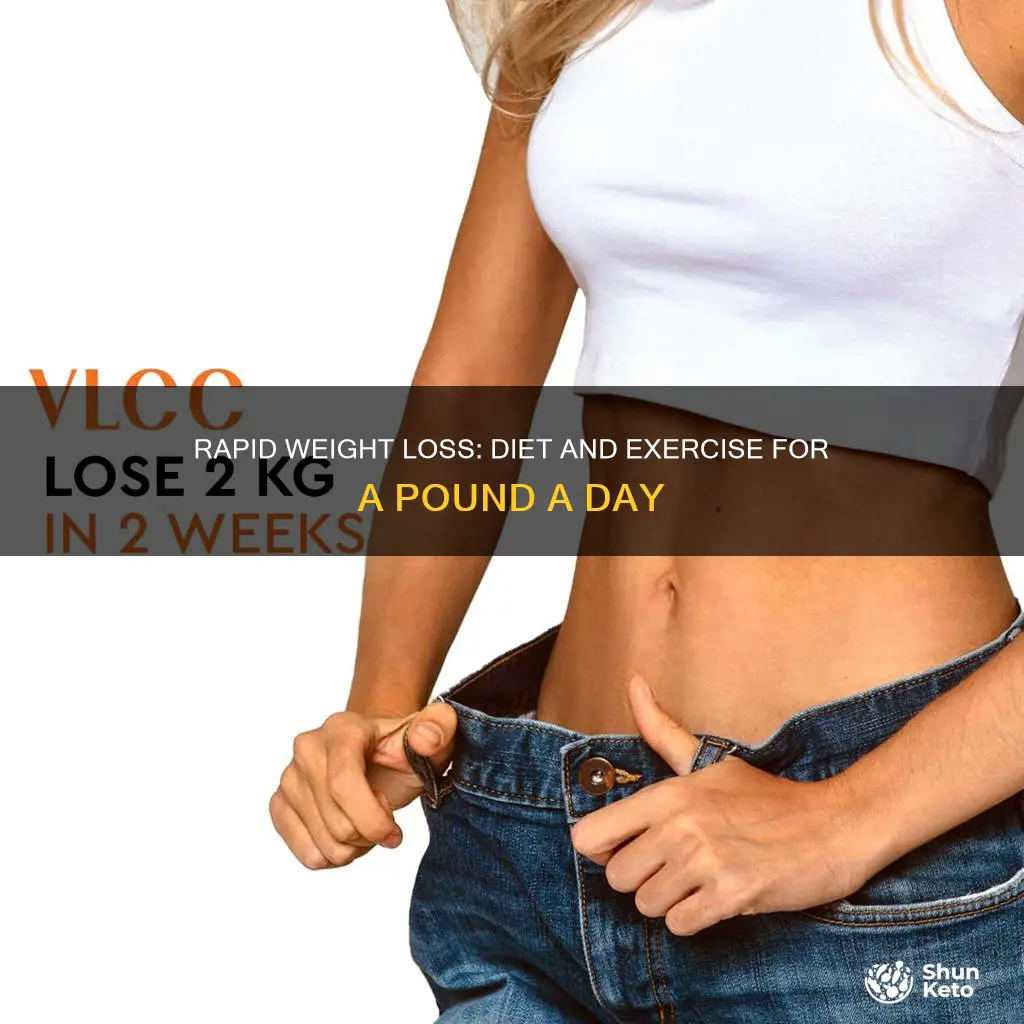 Rapid Weight Loss: Diet And Exercise For A Pound A Day | ShunKeto