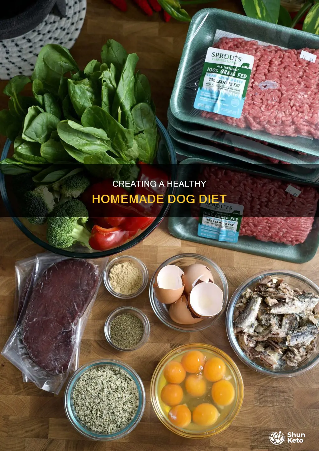 Creating A Healthy Homemade Dog Diet | ShunKeto