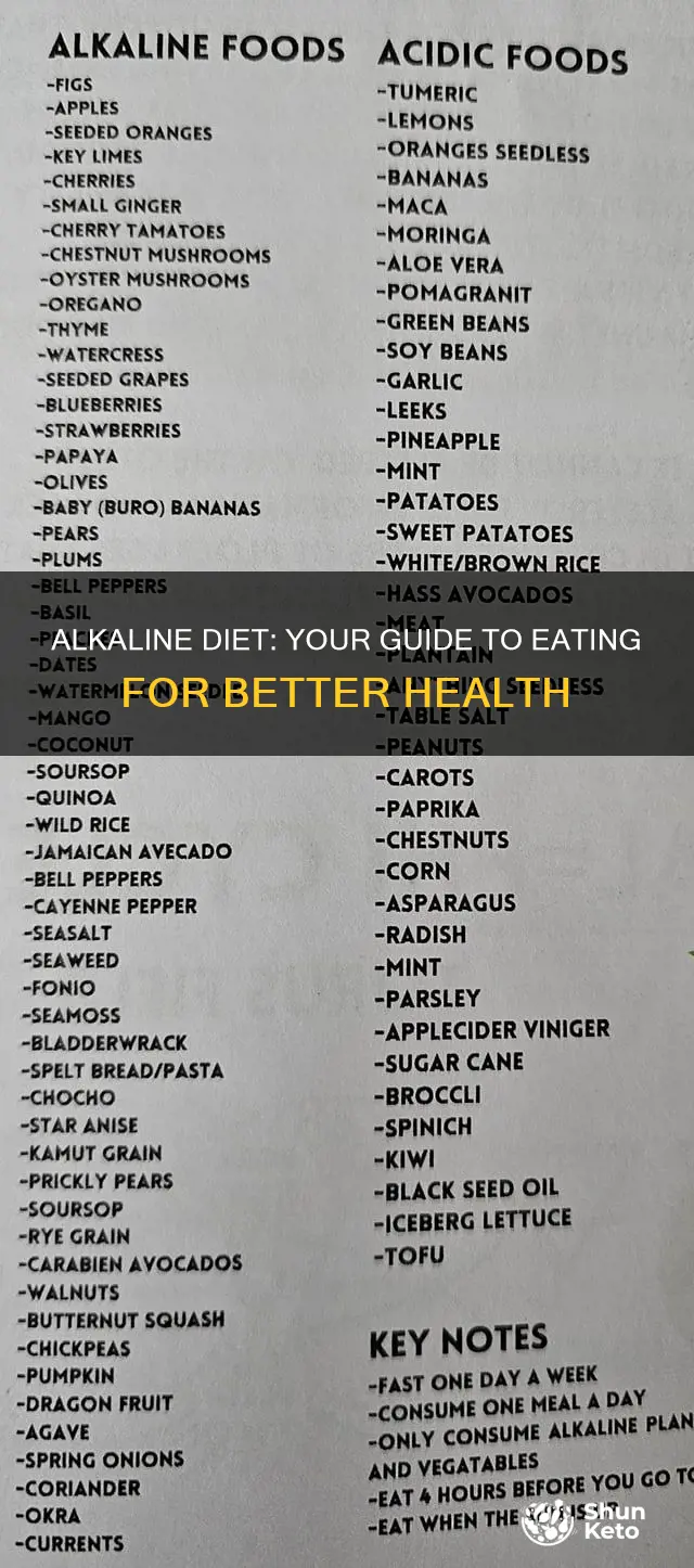 Alkaline Diet: Your Guide To Eating For Better Health | ShunKeto