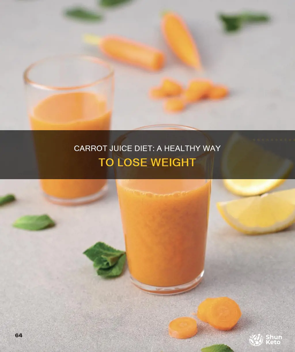 Carrot Juice Diet: A Healthy Way To Lose Weight | ShunKeto