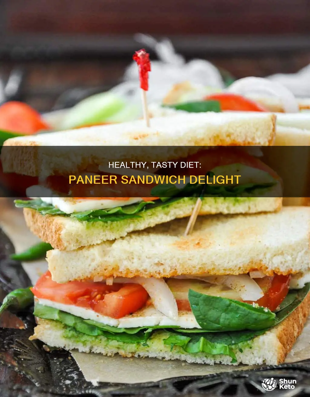 Healthy, Tasty Diet: Paneer Sandwich Delight | ShunKeto