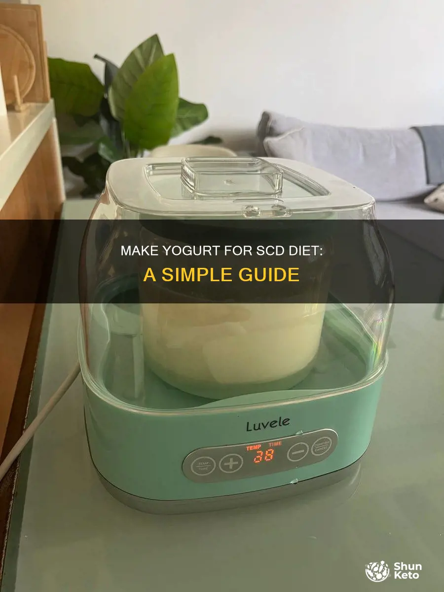 Make Yogurt For Scd Diet: A Simple Guide | ShunKeto