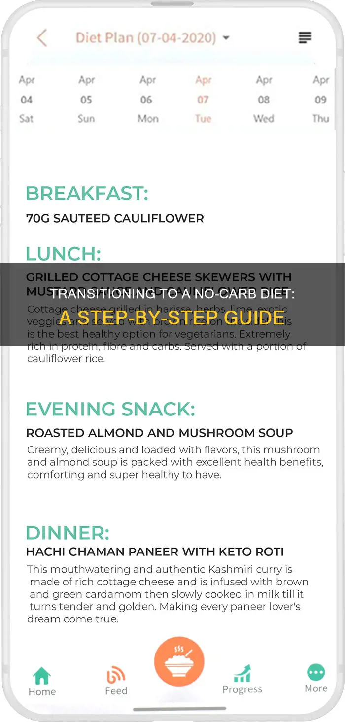 Transitioning To A No-Carb Diet: A Step-By-Step Guide | ShunKeto