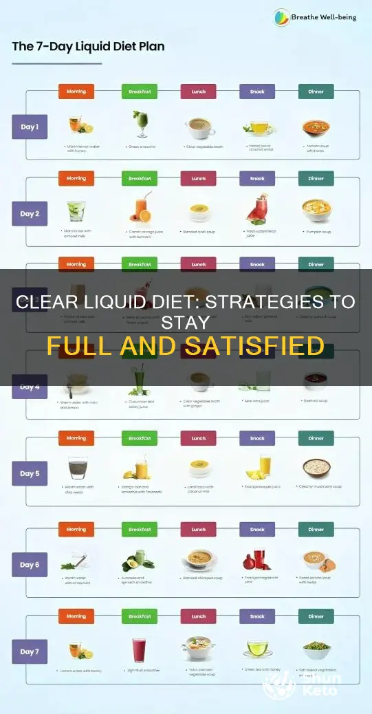 Clear Liquid Diet: Strategies To Stay Full And Satisfied | ShunKeto
