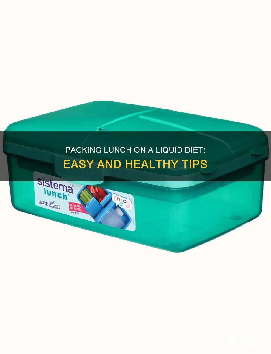Packing Lunch On A Liquid Diet: Easy And Healthy Tips | ShunKeto