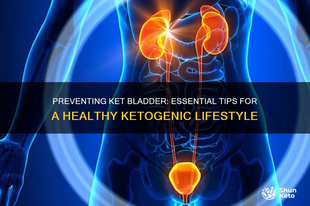 Preventing Ket Bladder: Essential Tips For A Healthy Ketogenic ...