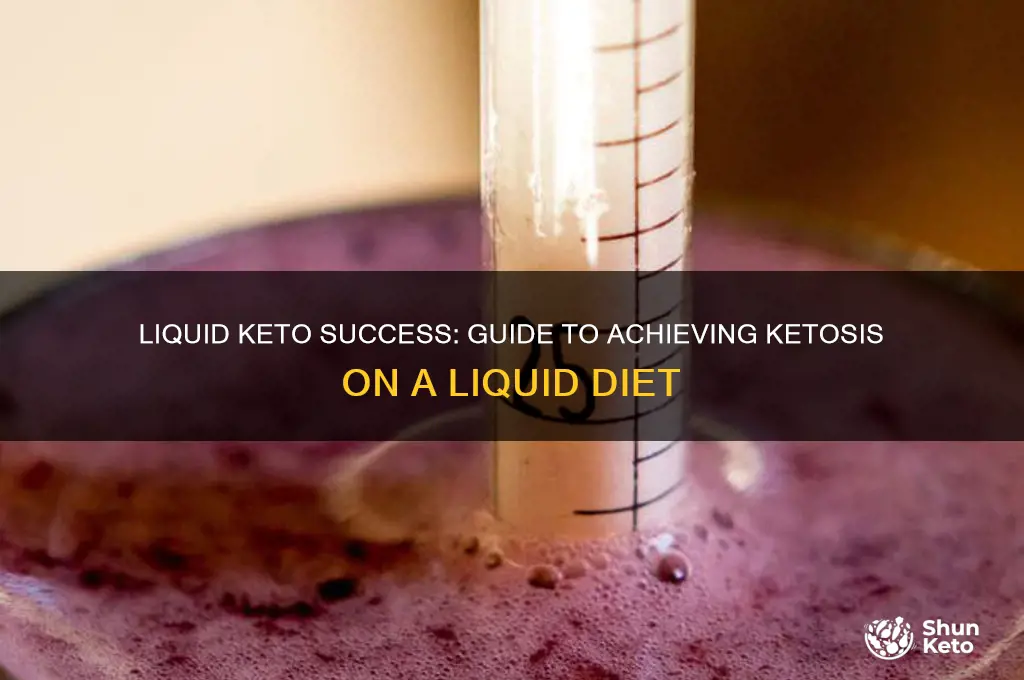 Liquid Keto Success: Guide To Achieving Ketosis On A Liquid Diet | ShunKeto