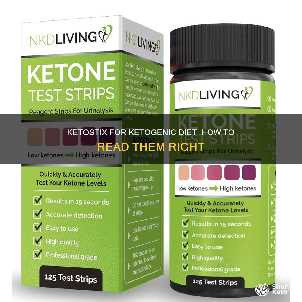Ketostix For Ketogenic Diet: How To Read Them Right | ShunKeto