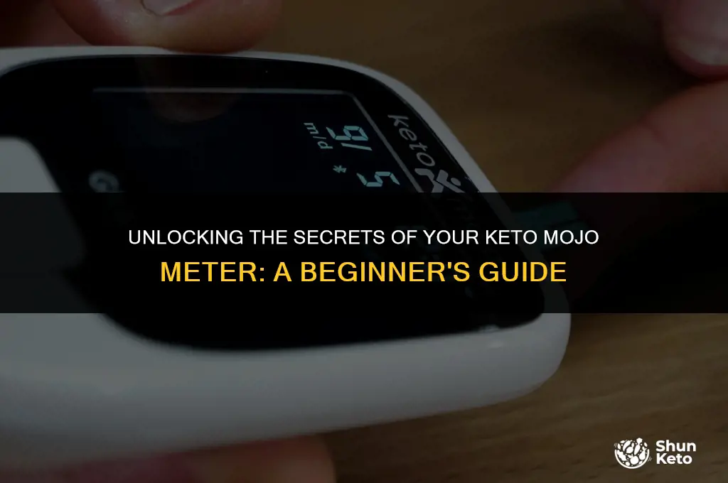 Unlocking The Secrets Of Your Keto Mojo Meter: A Beginner's Guide ...
