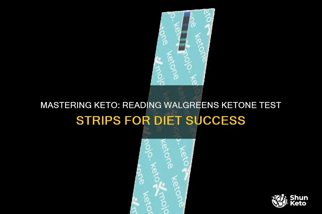 Mastering Keto: Reading Walgreens Ketone Test Strips For Diet Success ...