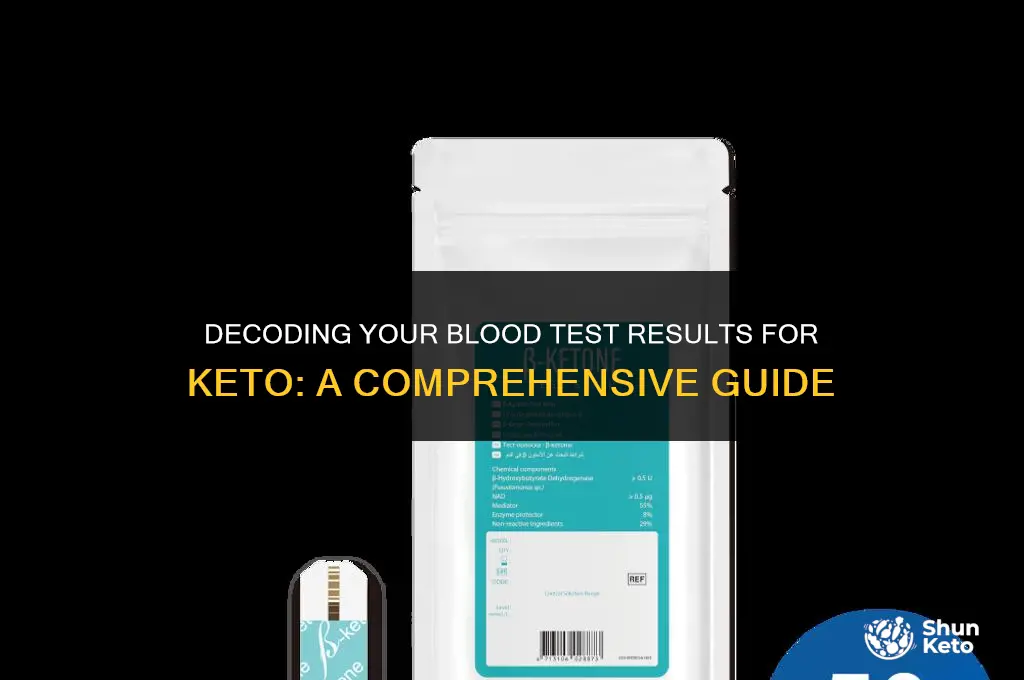 Decoding Your Blood Test Results For Keto: A Comprehensive Guide | ShunKeto