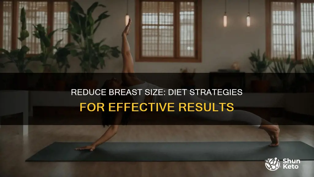 Reduce Breast Size: Diet Strategies For Effective Results | ShunKeto