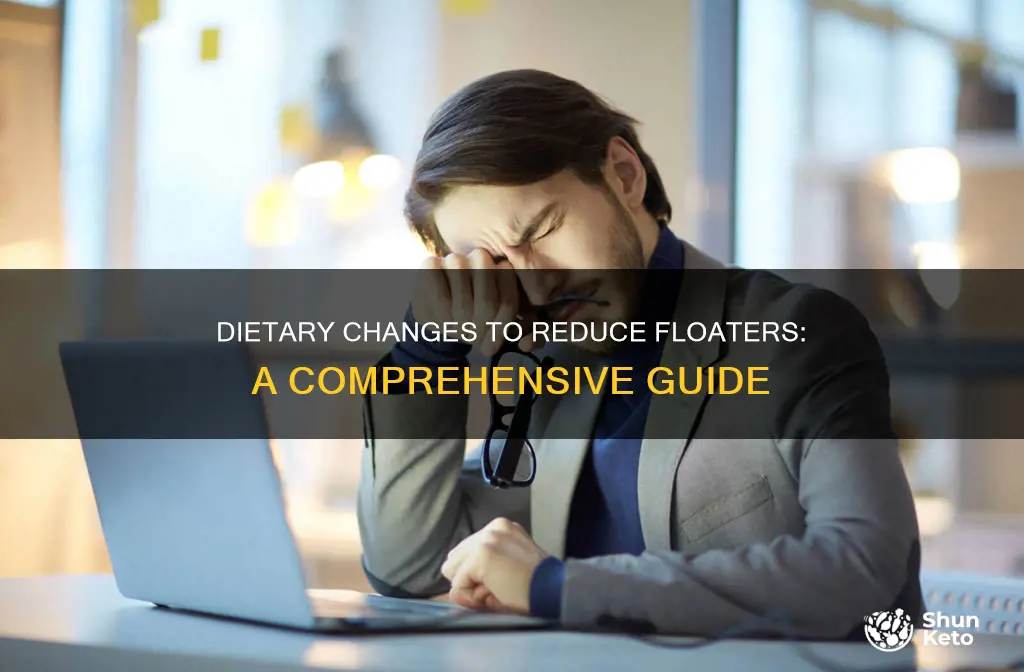 Dietary Changes To Reduce Floaters: A Comprehensive Guide | ShunKeto