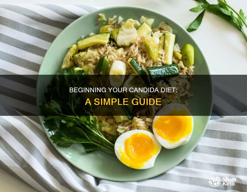 Beginning Your Candida Diet: A Simple Guide | ShunKeto