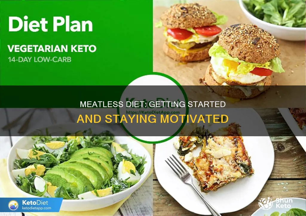 Meatless Diet: Getting Started And Staying Motivated | ShunKeto