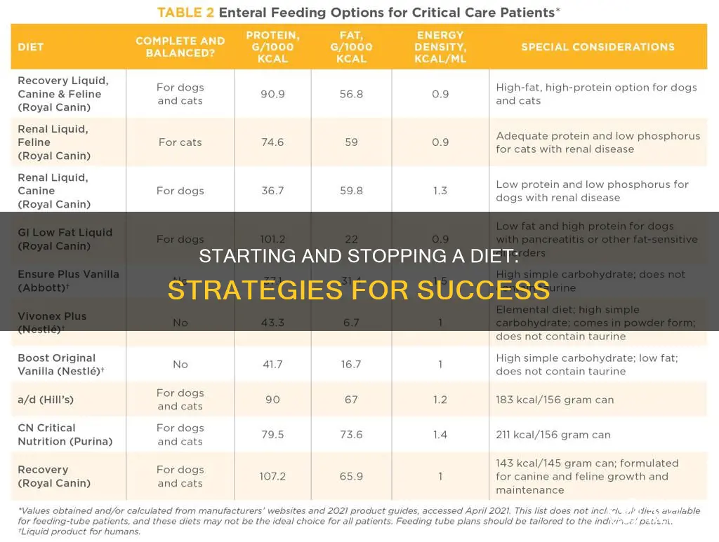 Starting And Stopping A Diet: Strategies For Success | ShunKeto