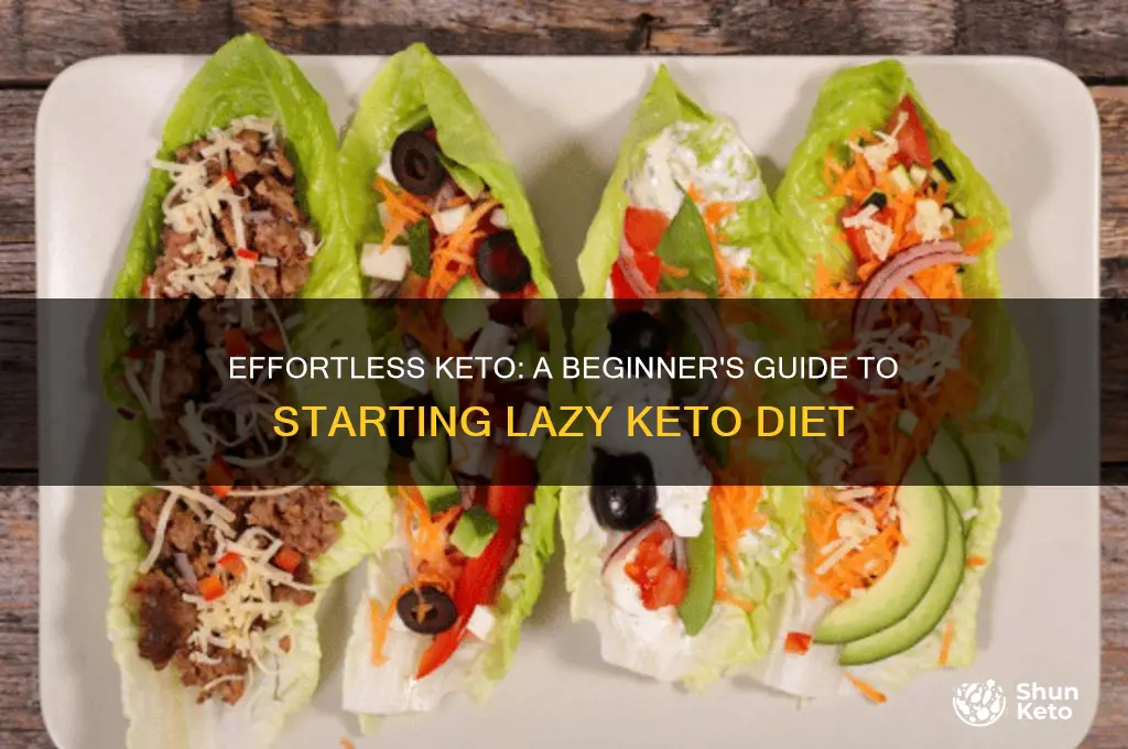 Effortless Keto: A Beginner's Guide To Starting Lazy Keto Diet | ShunKeto