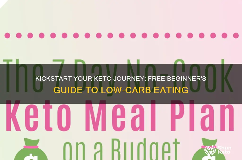 Kickstart Your Keto Journey: Free Beginner's Guide To Low-Carb Eating ...