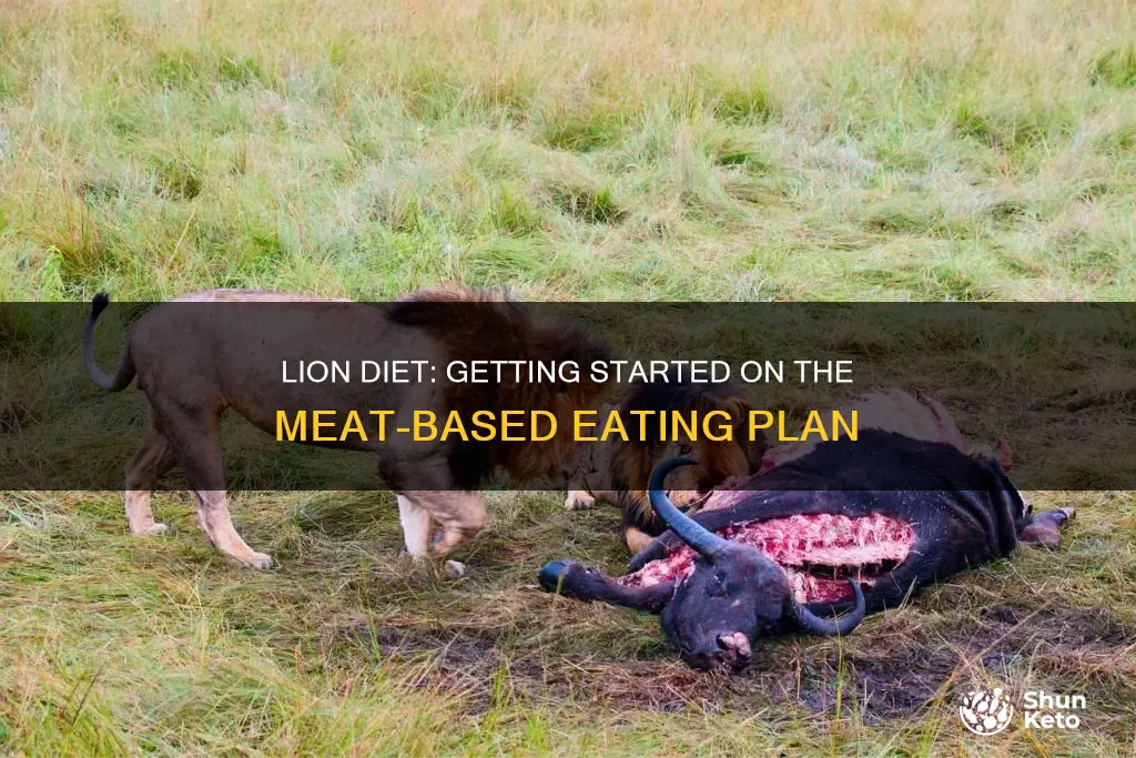Lion Diet: Getting Started On The Meat-Based Eating Plan | ShunKeto