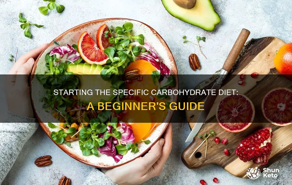 Starting The Specific Carbohydrate Diet: A Beginner's Guide | ShunKeto