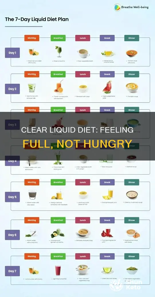 Clear Liquid Diet: Feeling Full, Not Hungry | ShunKeto