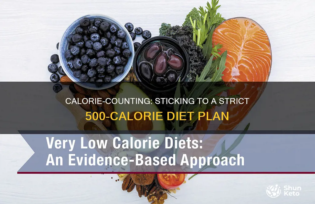 Calorie-Counting: Sticking To A Strict 500-Calorie Diet Plan | ShunKeto