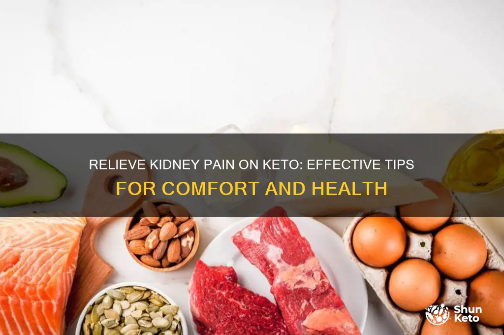 Relieve Kidney Pain On Keto: Effective Tips For Comfort And Health ...
