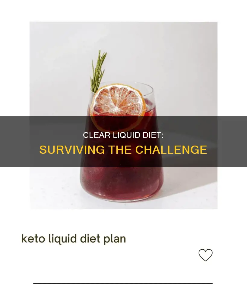 Clear Liquid Diet: Surviving The Challenge | ShunKeto
