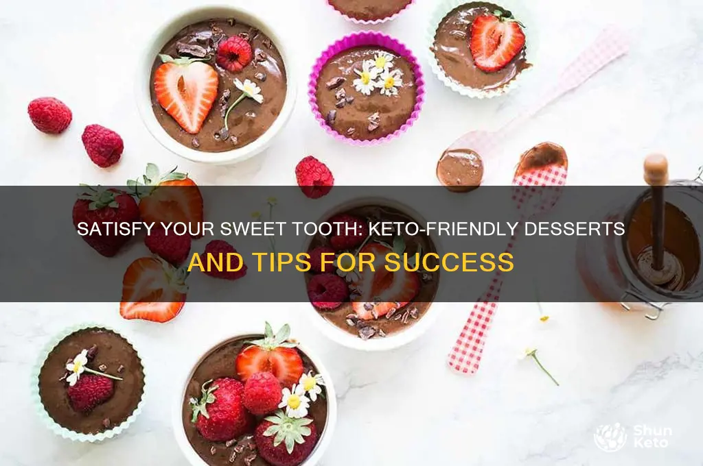Satisfy Your Sweet Tooth: Keto-Friendly Desserts And Tips For Success ...