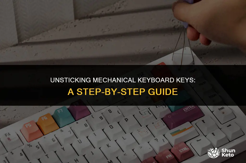 Unsticking Mechanical Keyboard Keys: A Step-By-Step Guide | ShunKeto