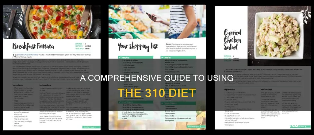 A Comprehensive Guide To Using The 310 Diet | ShunKeto