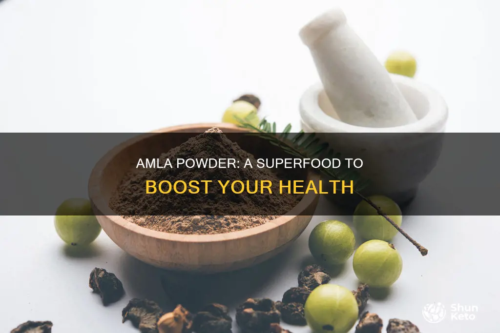Amla Powder: A Superfood To Boost Your Health | ShunKeto