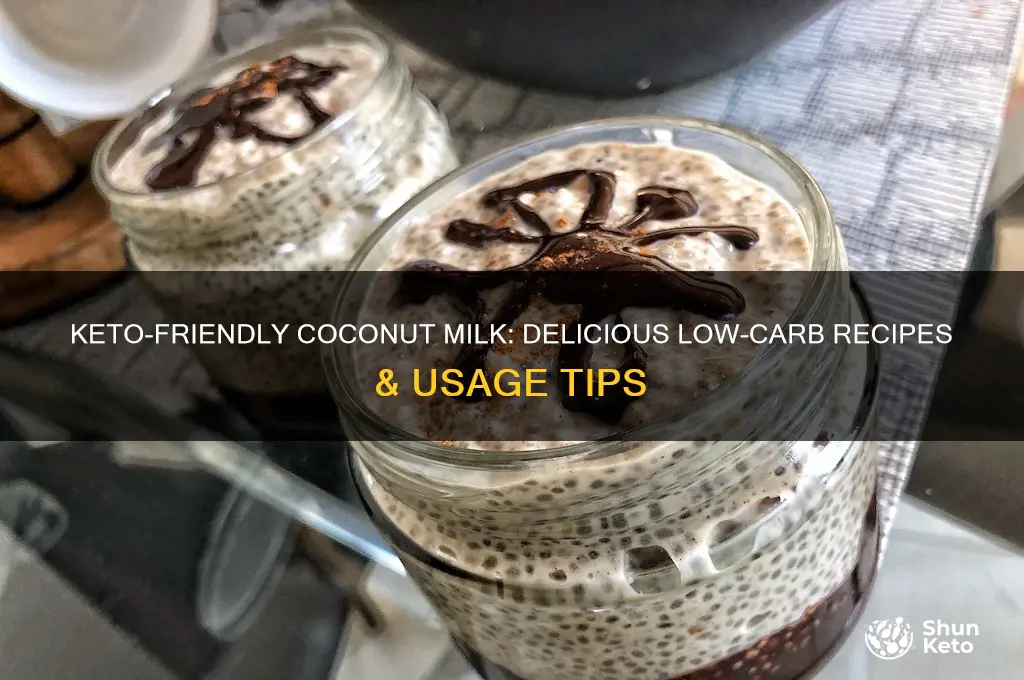 Keto-Friendly Coconut Milk: Delicious Low-Carb Recipes & Usage Tips ...