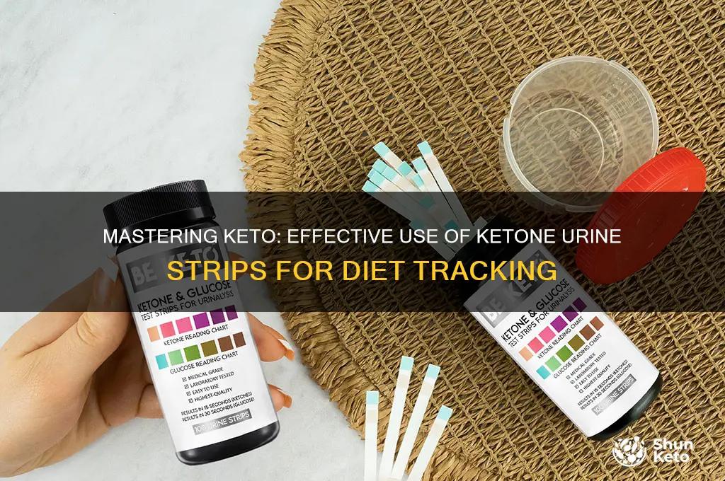 Mastering Keto: Effective Use Of Ketone Urine Strips For Diet Tracking ...