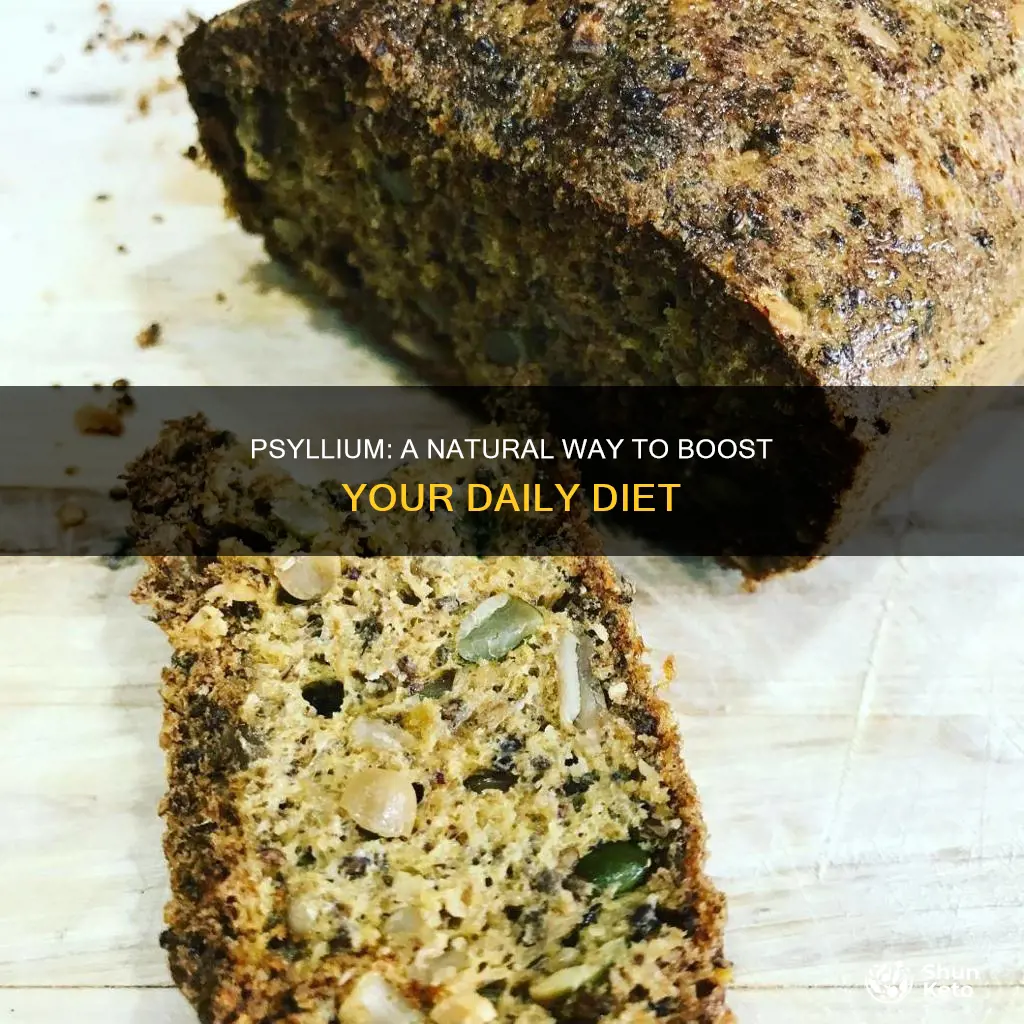 Psyllium: A Natural Way To Boost Your Daily Diet | ShunKeto
