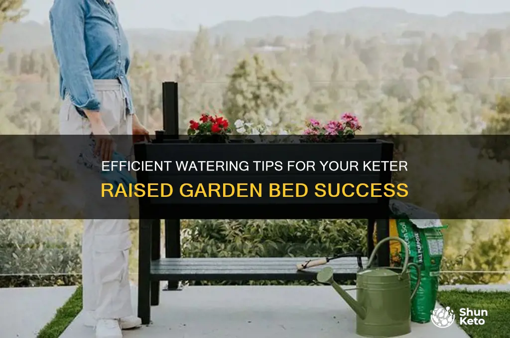 Efficient Watering Tips For Your Keter Raised Garden Bed Success | ShunKeto