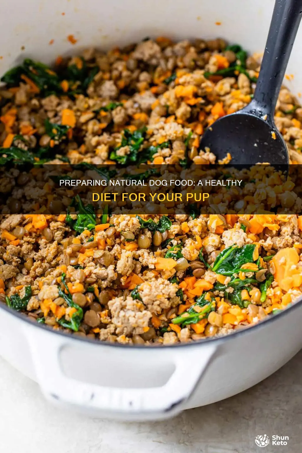 Preparing Natural Dog Food: A Healthy Diet For Your Pup | ShunKeto