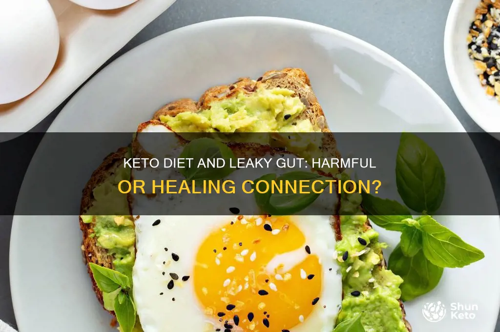 Keto Diet And Leaky Gut: Harmful Or Healing Connection? | ShunKeto