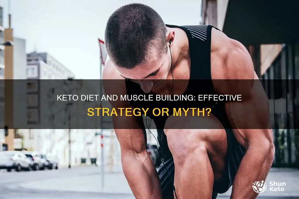 Keto Diet And Muscle Building: Effective Strategy Or Myth? | ShunKeto