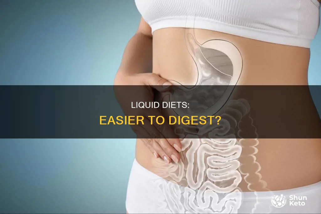 Liquid Diets: Easier To Digest? | ShunKeto