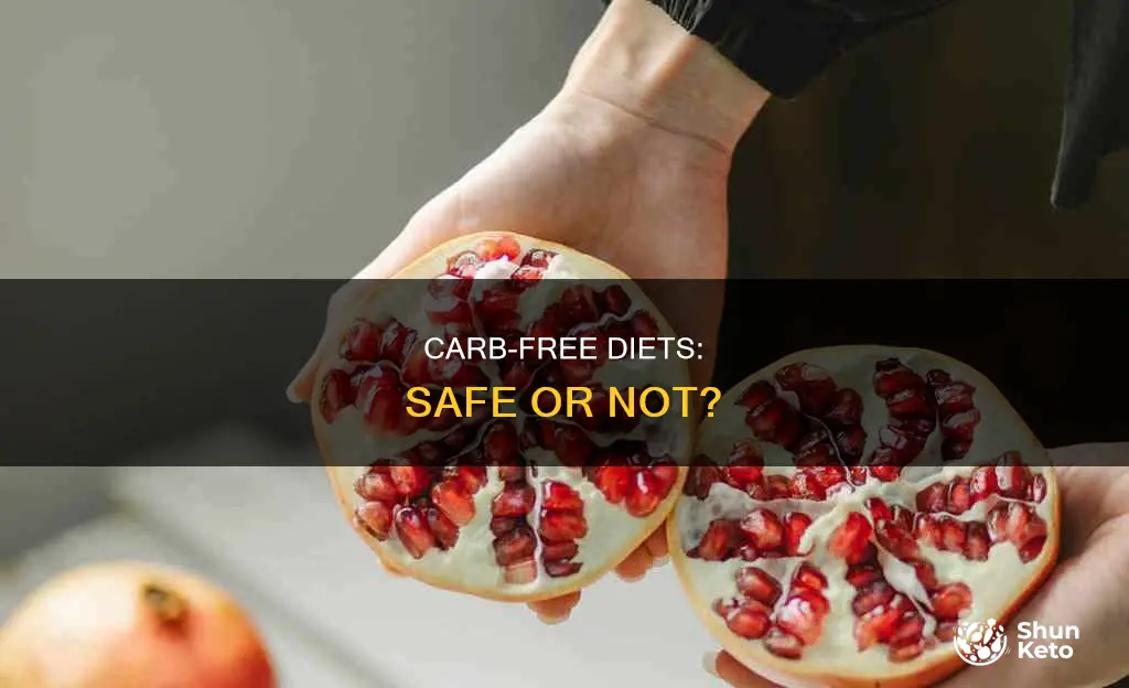 Carb-Free Diets: Safe Or Not? | ShunKeto