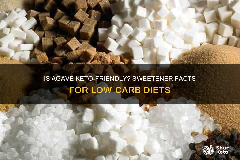 Is Agave Keto-Friendly? Sweetener Facts For Low-Carb Diets | ShunKeto