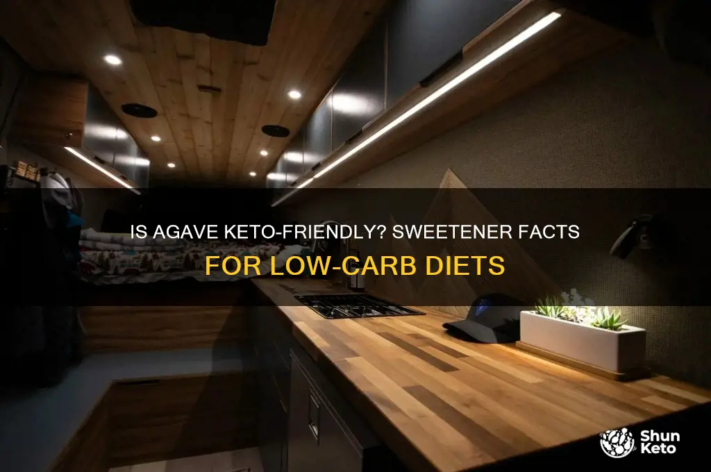 Is Agave Keto-Friendly? Sweetener Facts For Low-Carb Diets | ShunKeto