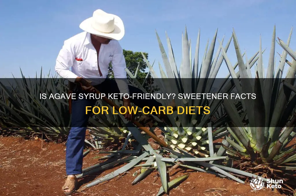 Is Agave Syrup Keto-Friendly? Sweetener Facts For Low-Carb Diets | ShunKeto