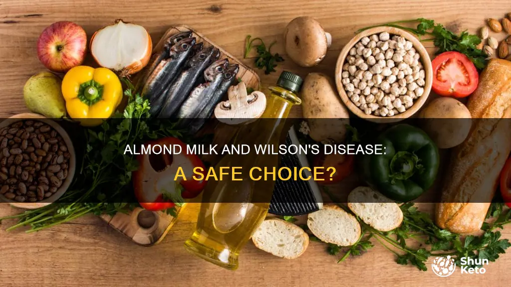 Almond Milk And Wilson's Disease: A Safe Choice? | ShunKeto